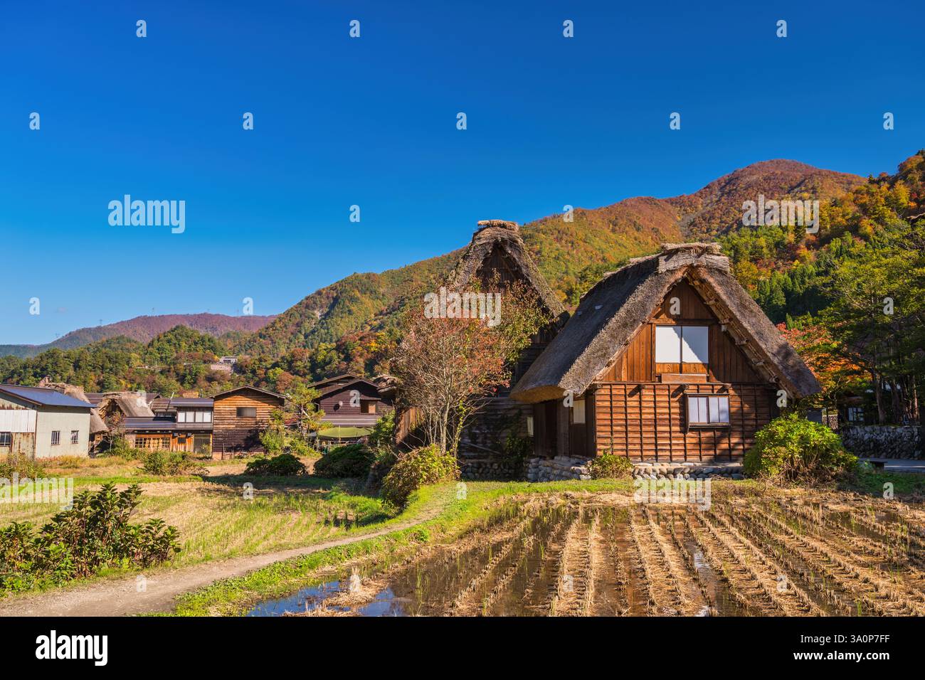 Shirakawago village Gifu Japan, Historical Japanese traditional Gassho ...