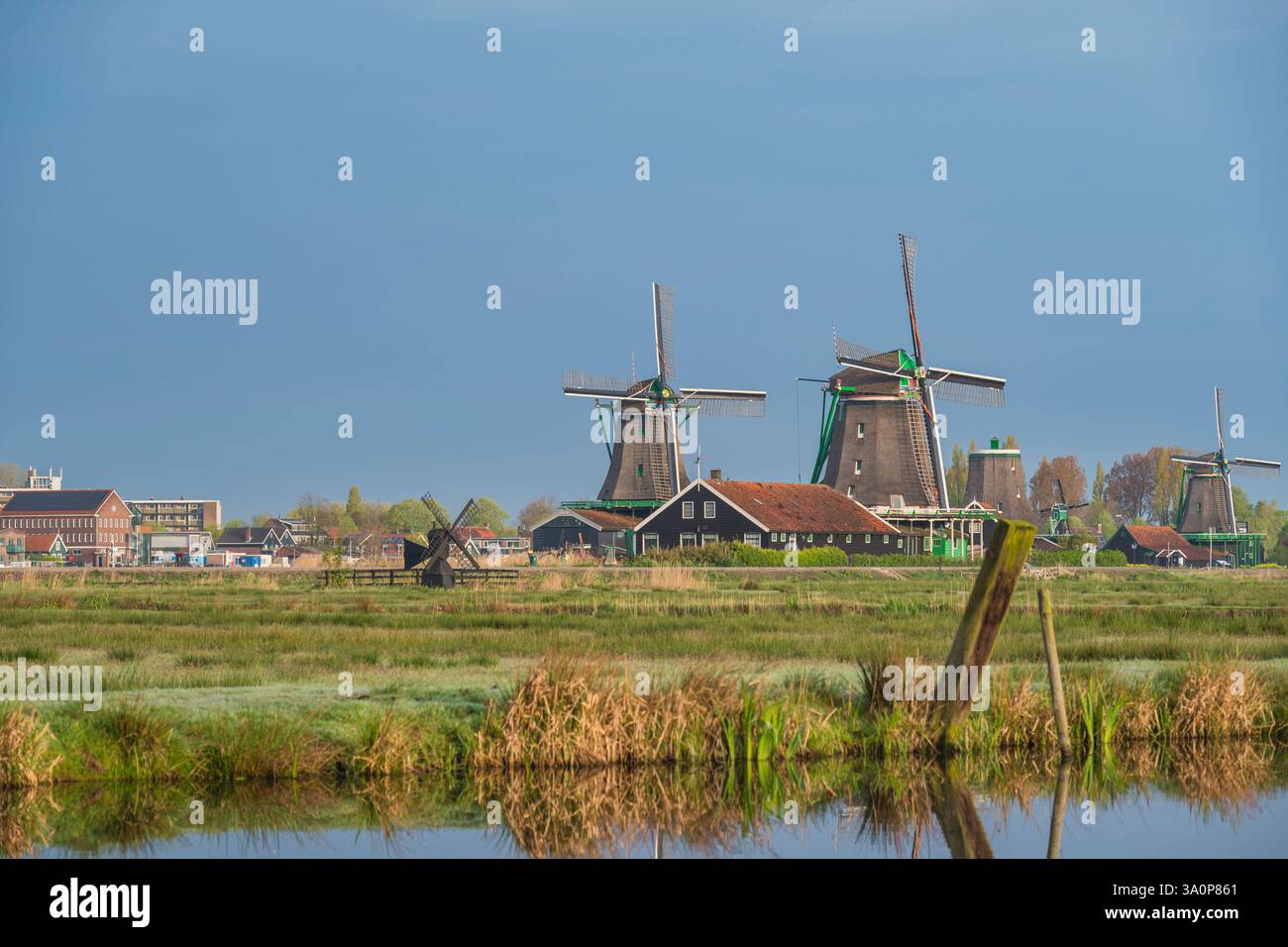 Dutch Windmill and traditional house at Zaanse Schans Village ...