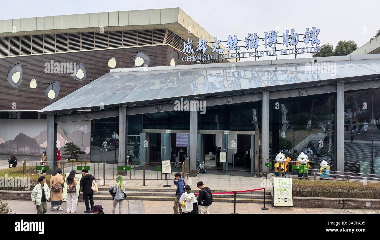 Giant pandas at Chengdu Research Base of Giant Panda Breeding in ...