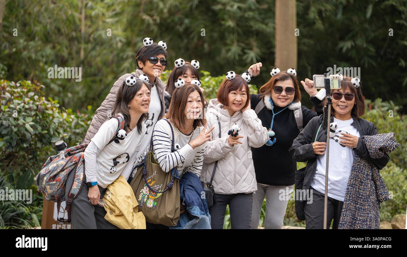 Giant pandas at Chengdu Research Base of Giant Panda Breeding in ...