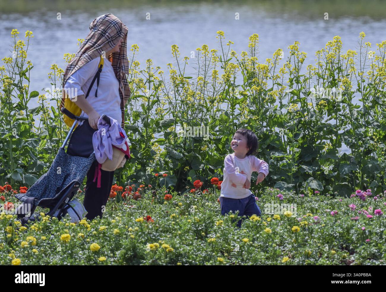 People admire spring scenery in Nanning City, south China's Guangxi ...