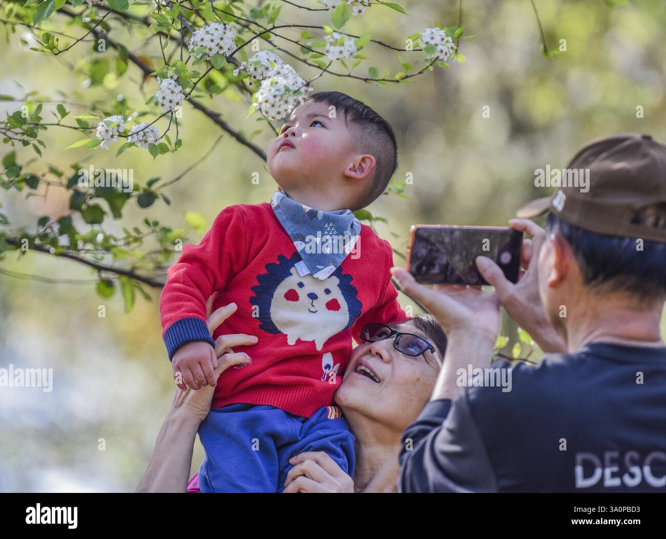 People admire spring scenery in Nanning City, south China's Guangxi ...