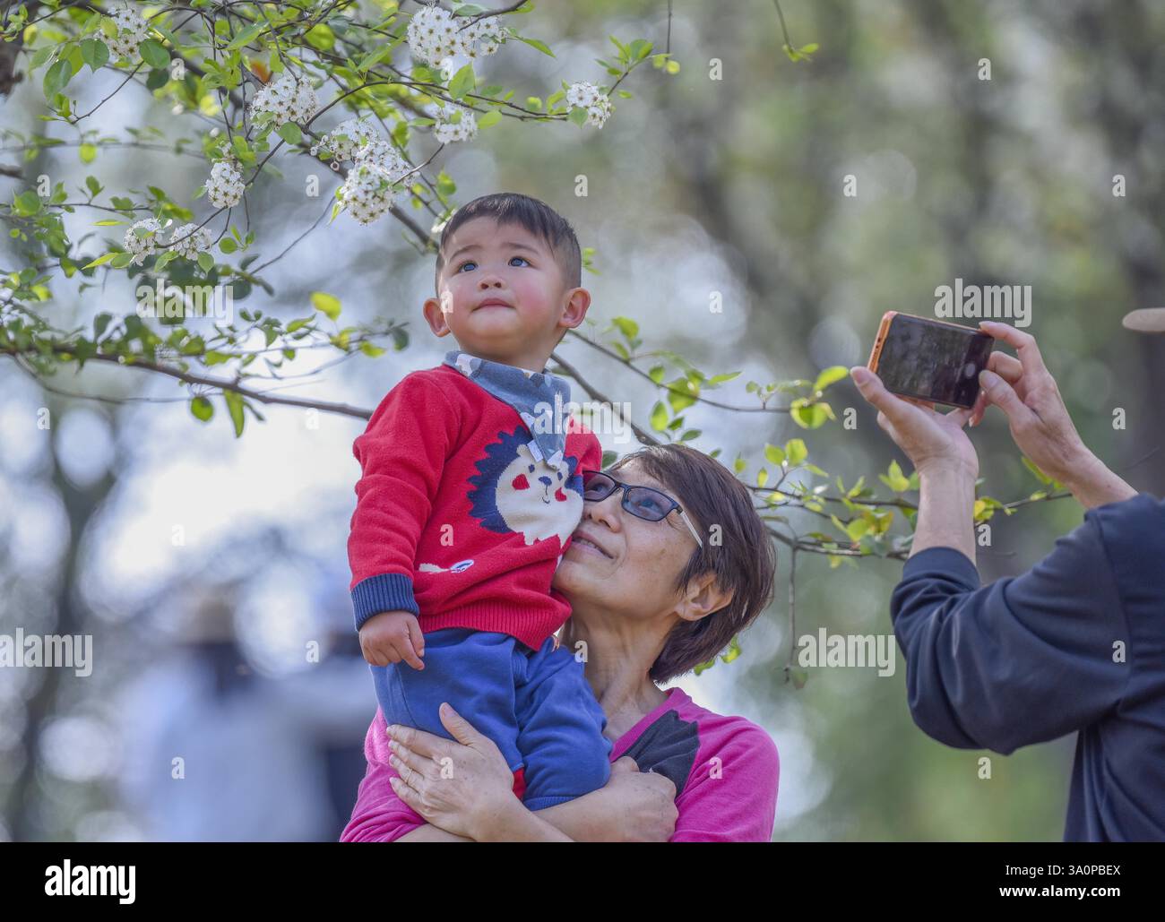 People admire spring scenery in Nanning City, south China's Guangxi ...