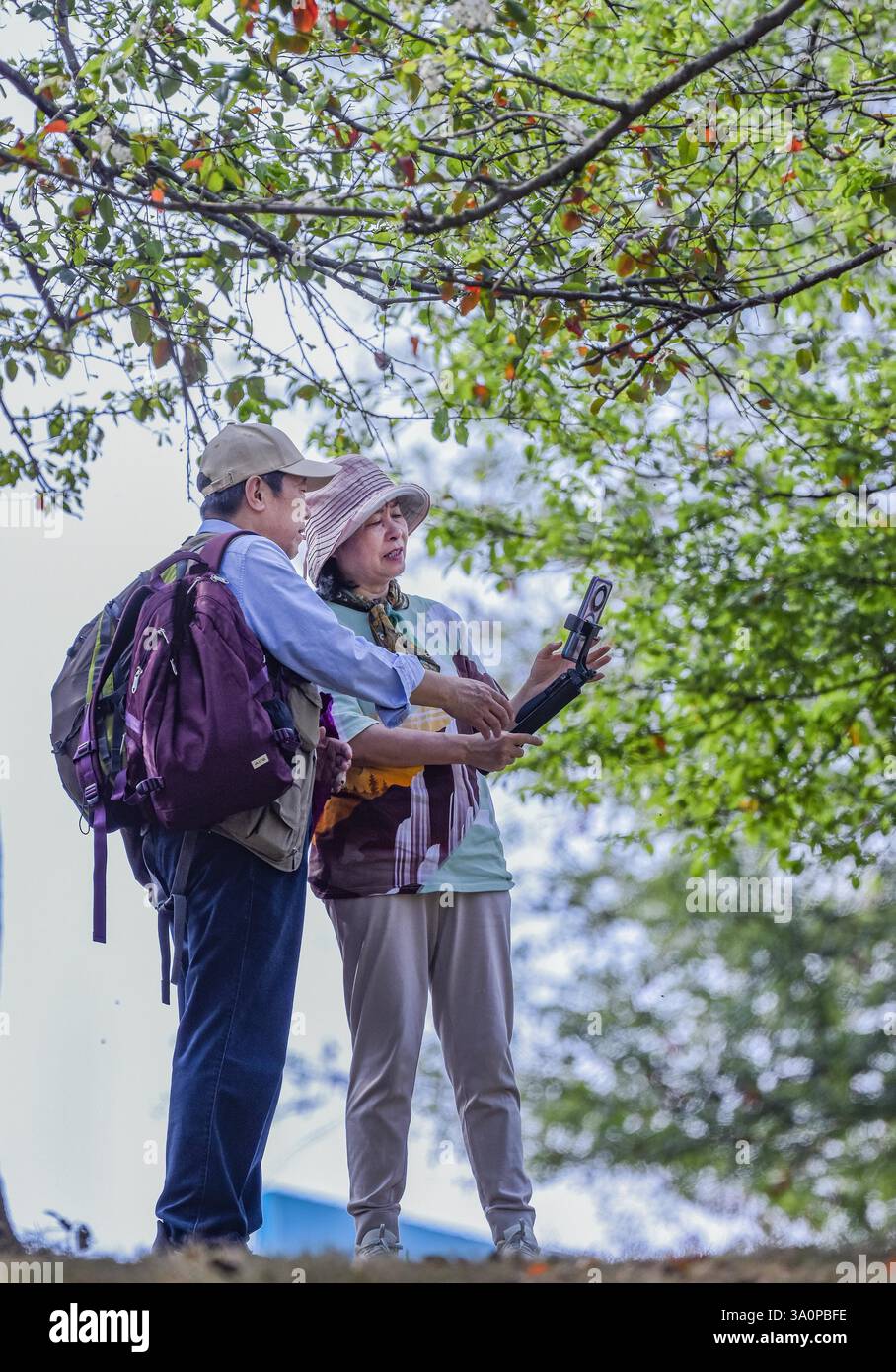 People admire spring scenery in Nanning City, south China's Guangxi ...