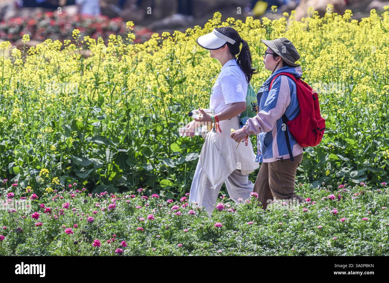 People admire spring scenery in Nanning City, south China's Guangxi ...