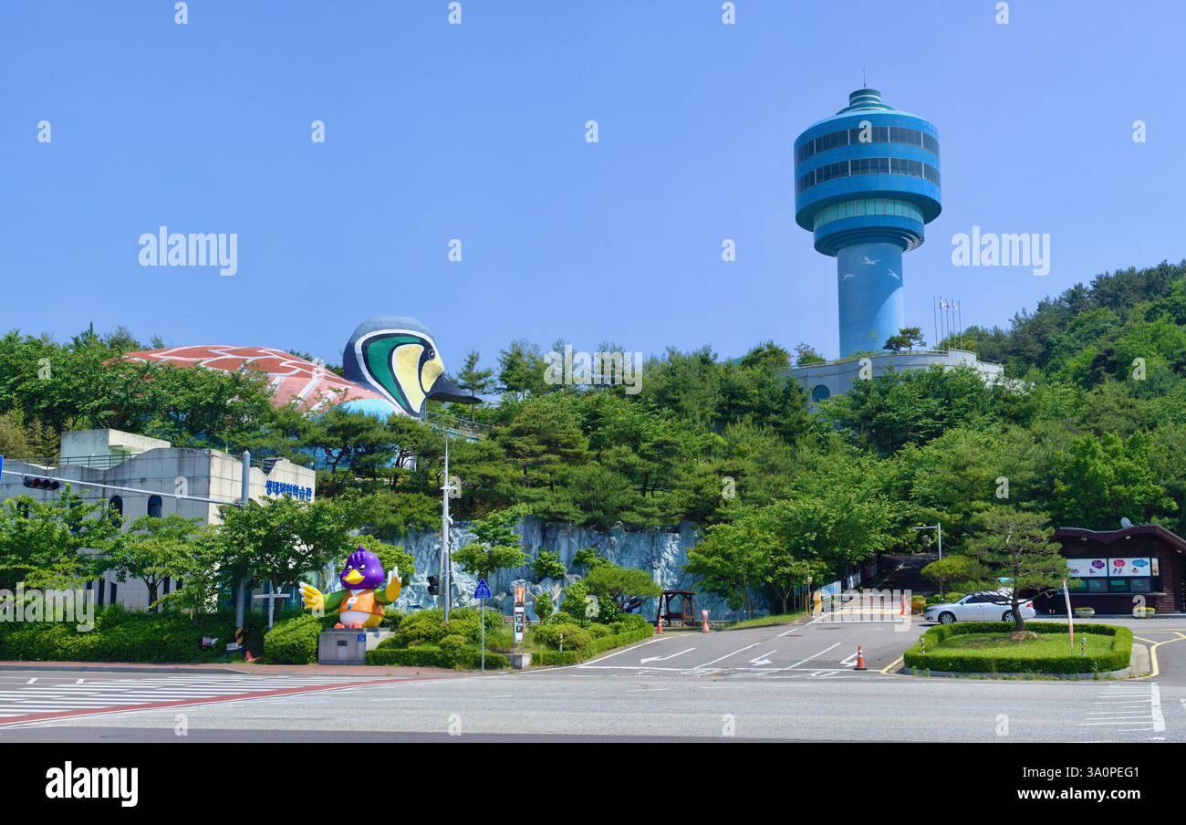 Geumgang estuary bird sanctuary hi-res stock photography and images - Alamy