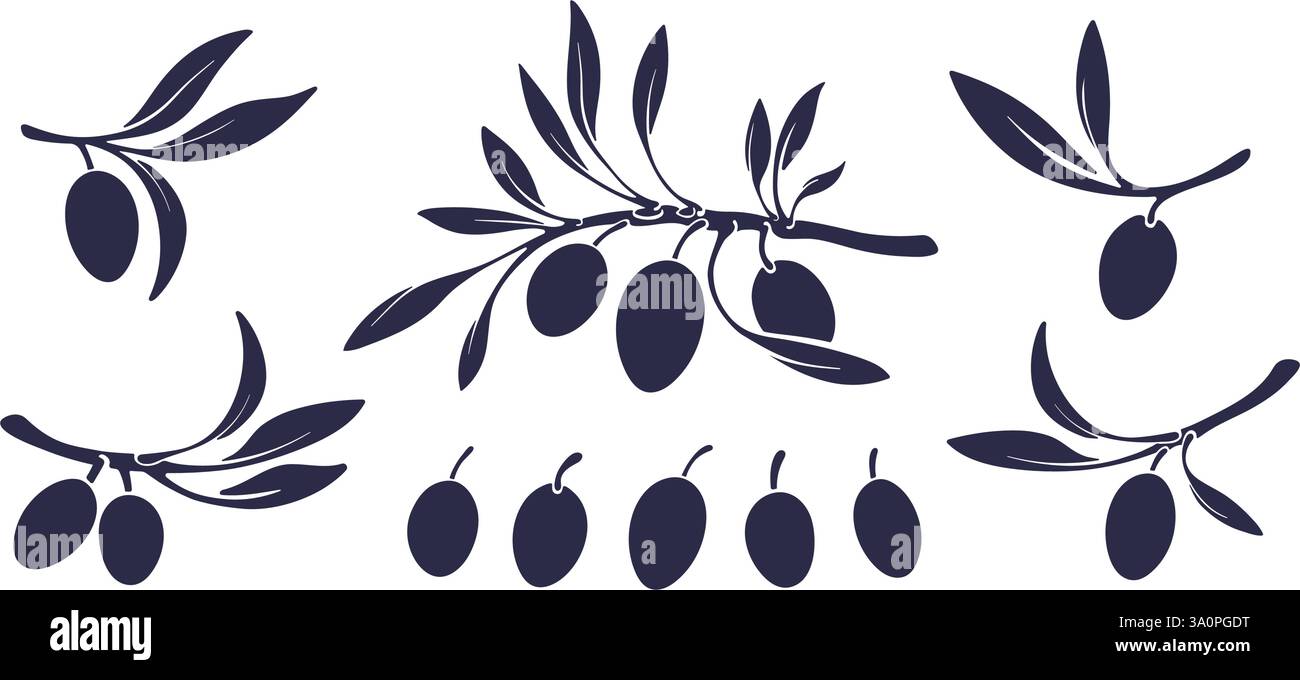 Olive shape collection. Vector nature branch, oil fruits. Food farm ...