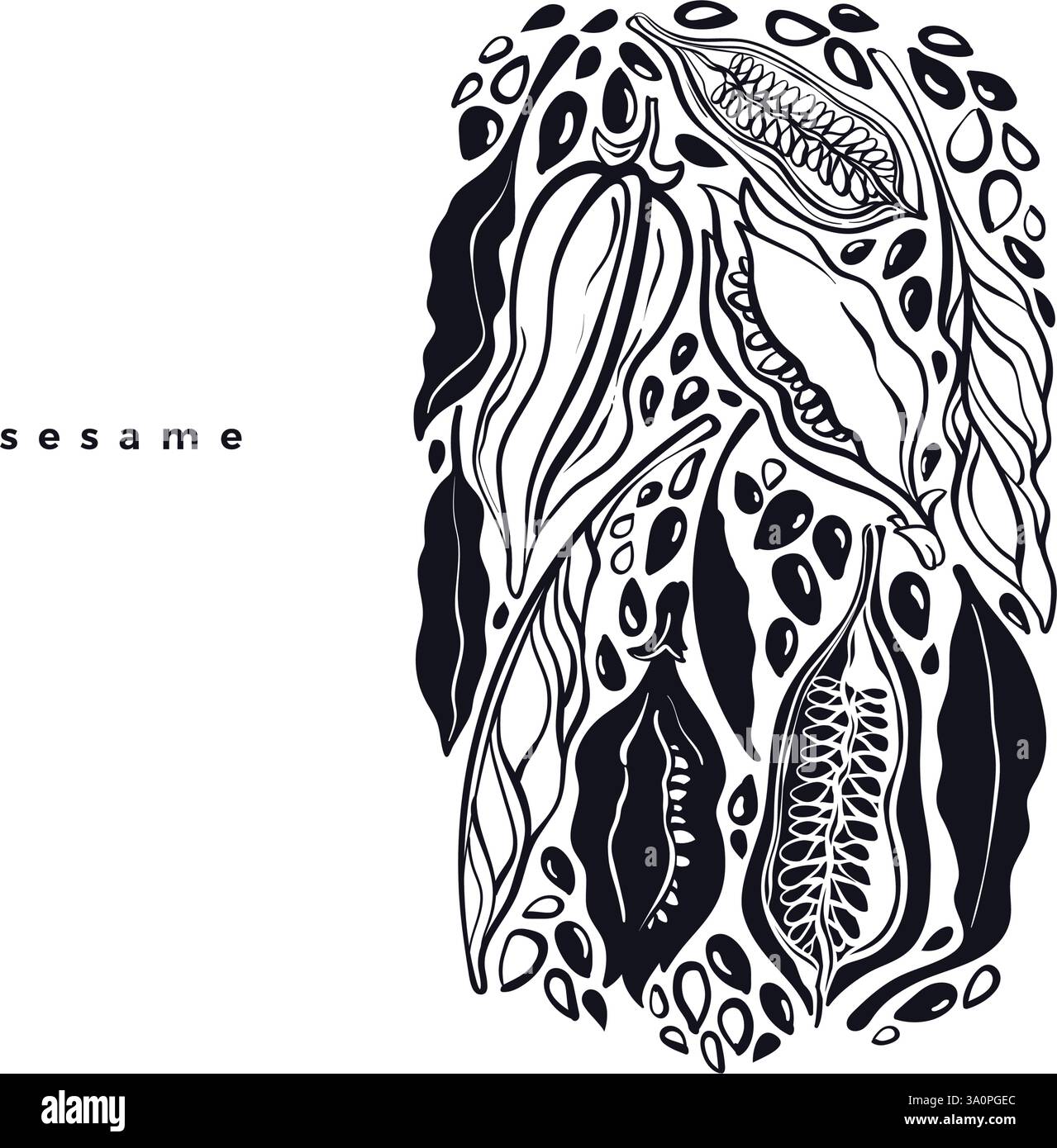 Sesame plant, seeds. Hand drawn food design. Culinary condiment ...