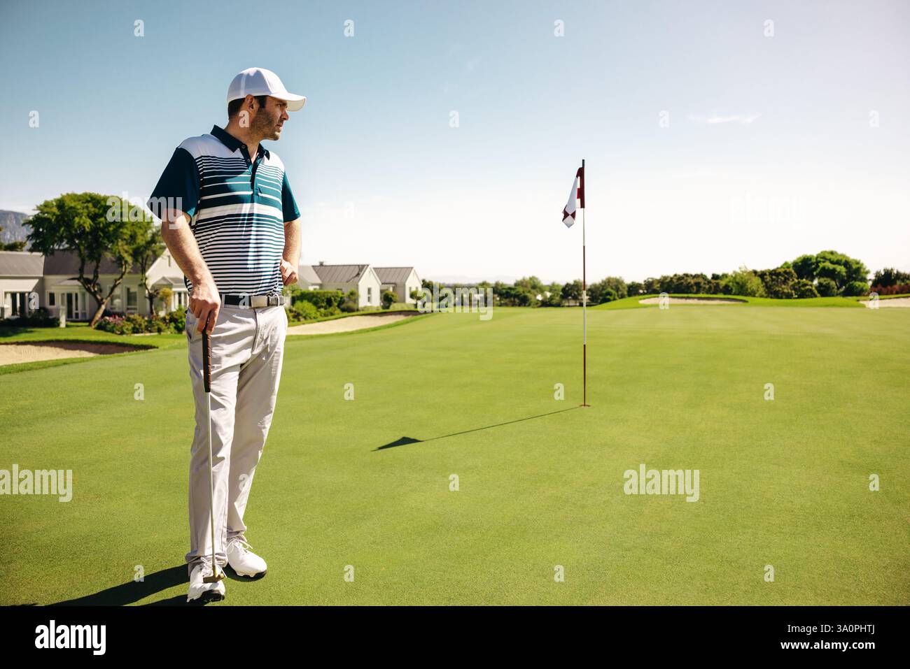 A sportsman leans on a golf club on a putting green, gazing at the ...