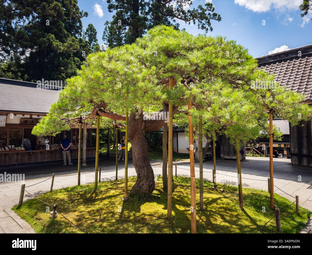Chuson-ji temple in Hiraizumi, Nishiiwai District, Iwate, Japan Stock Photo - Alamy
