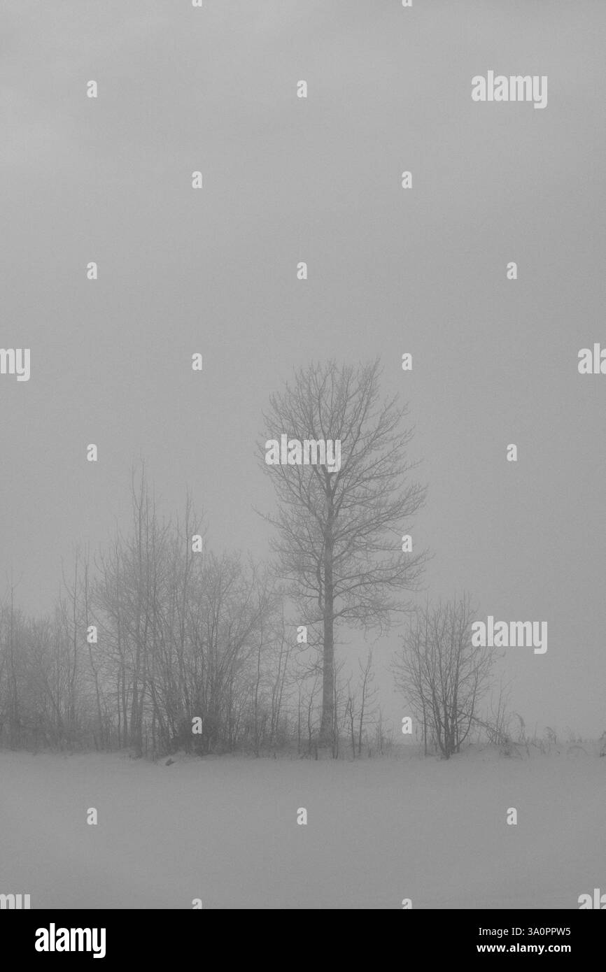 Railroad edge Black and White Stock Photos & Images - Alamy