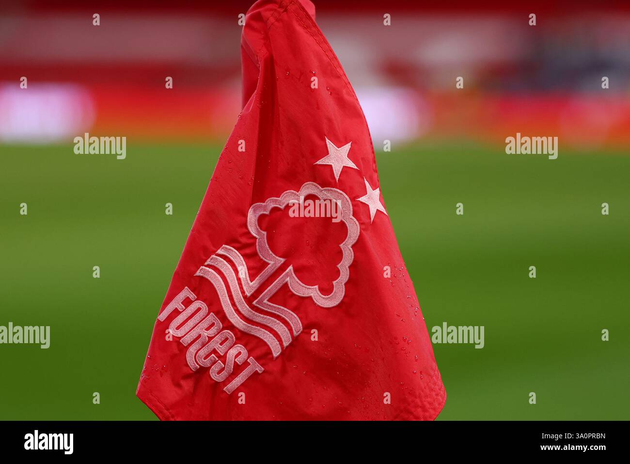 Nottingham Forest corner flag detail - Nottingham Forest v Ipswich Town ...