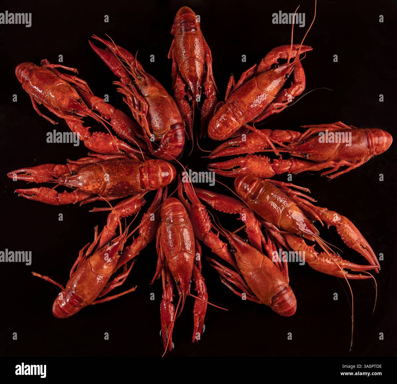 Display of cooked Crayfish Stock Photo - Alamy