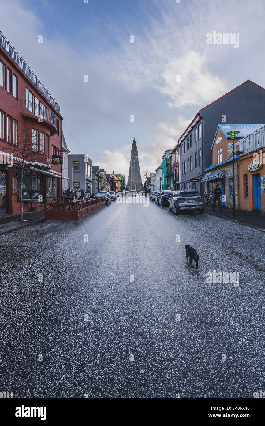 Stadt- und Straßenansichten von Islands Hauptstadt ReykjavÌk im Winter ...
