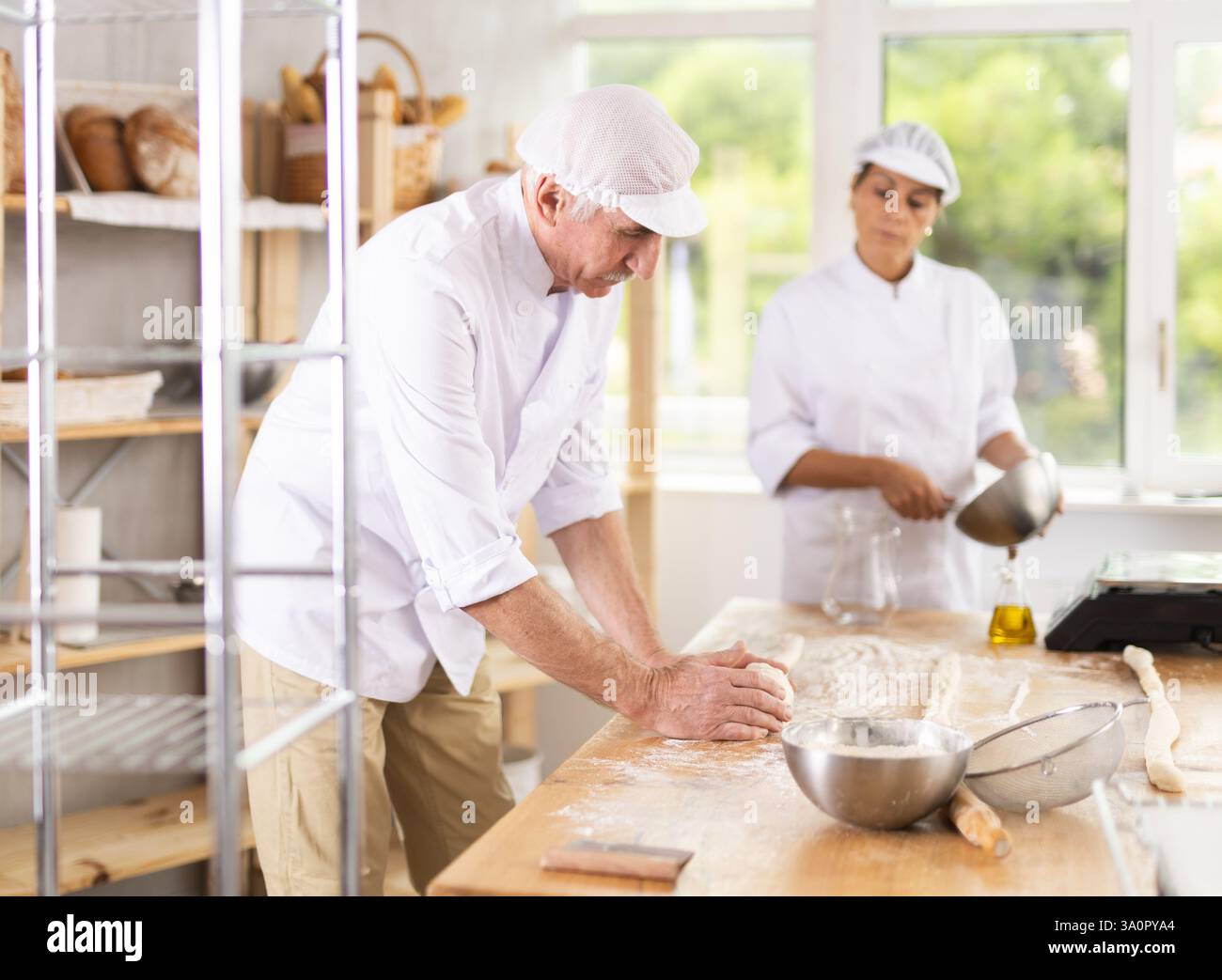 Elderly male chef and female skillfully kneads dough to bake delicious bread and croissants ...