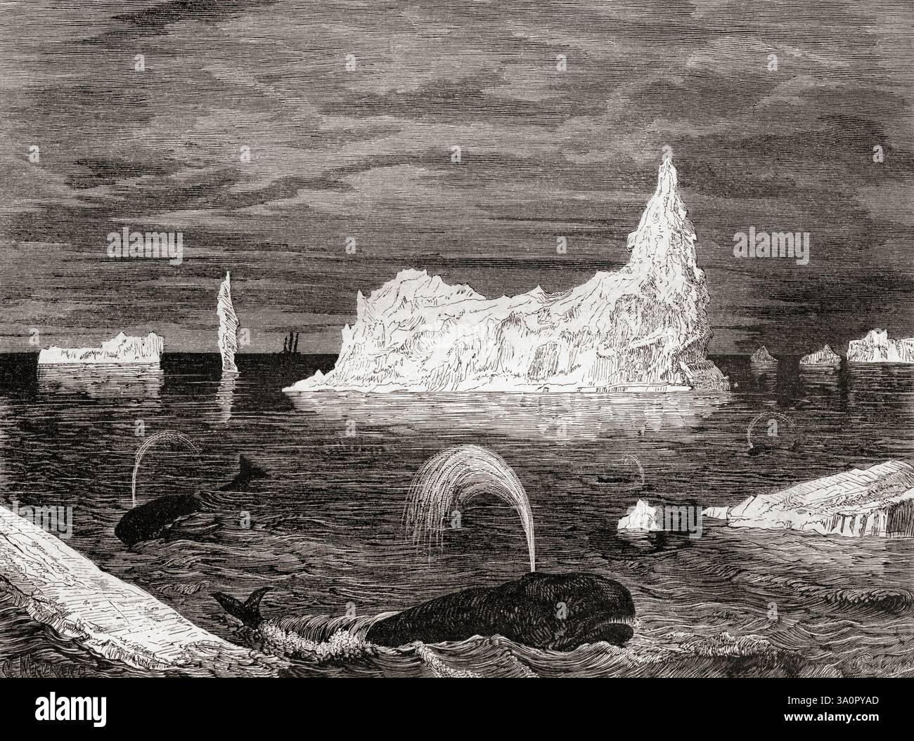 Underwater plateaus hi-res stock photography and images - Alamy