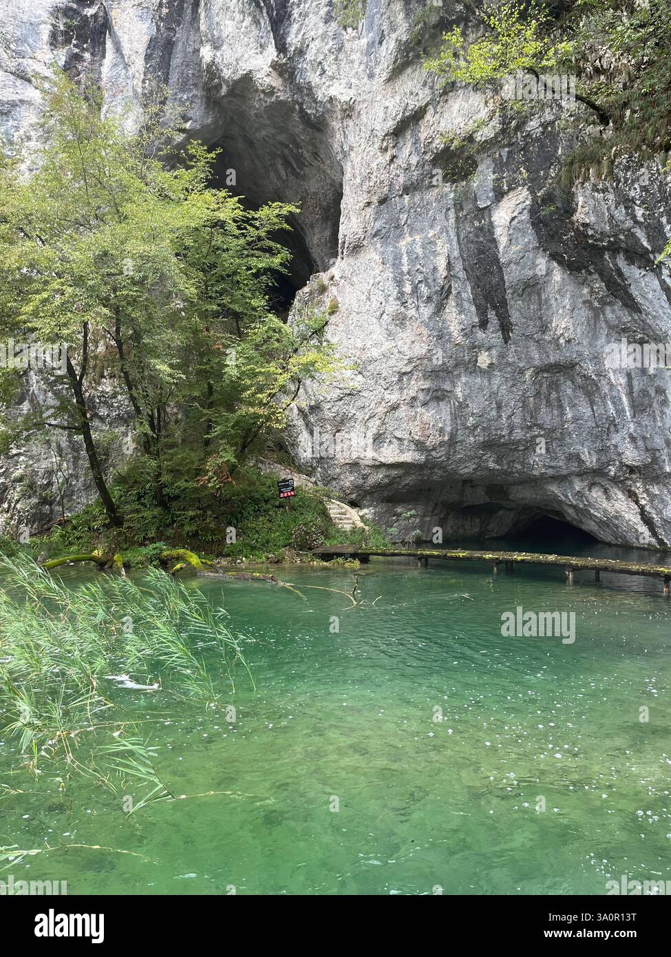 The vibrant foliage surrounds the clear, calm water, reflecting the ...