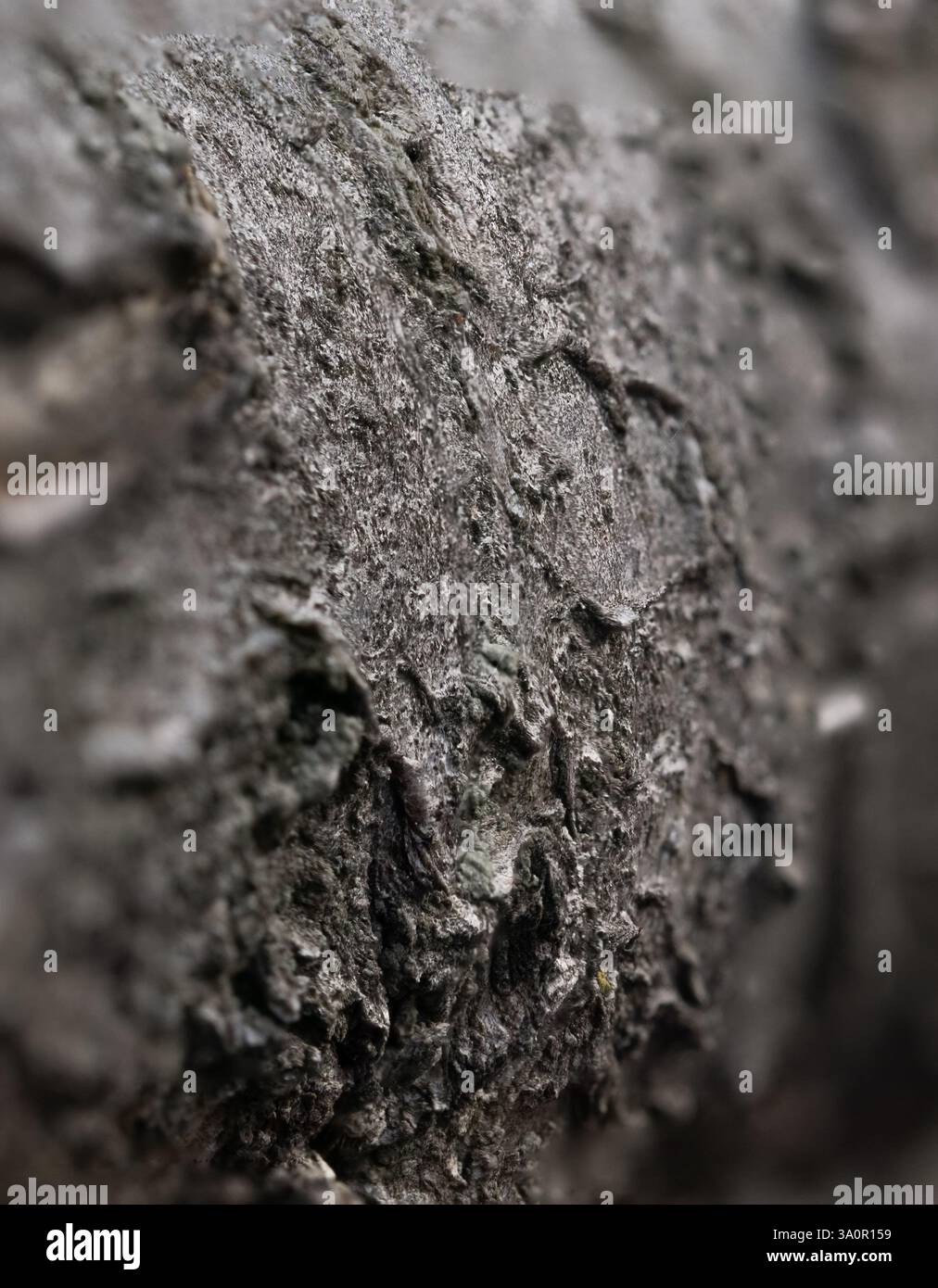 Macro photography of tree bark creates a complex pattern Stock Photo ...
