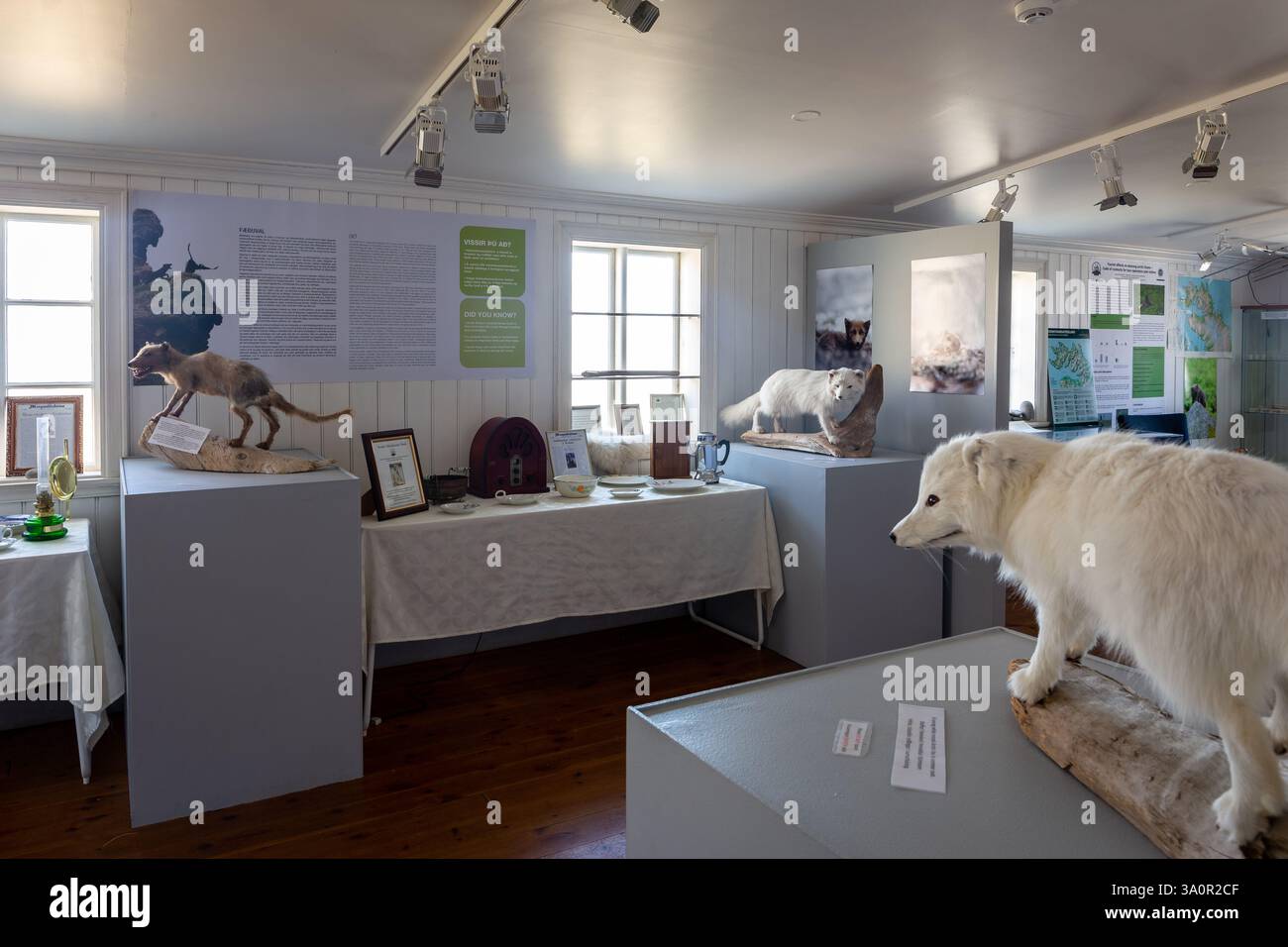 Sudavik, Iceland, 23.05.2022. The Arctic Fox Center small museum with ...