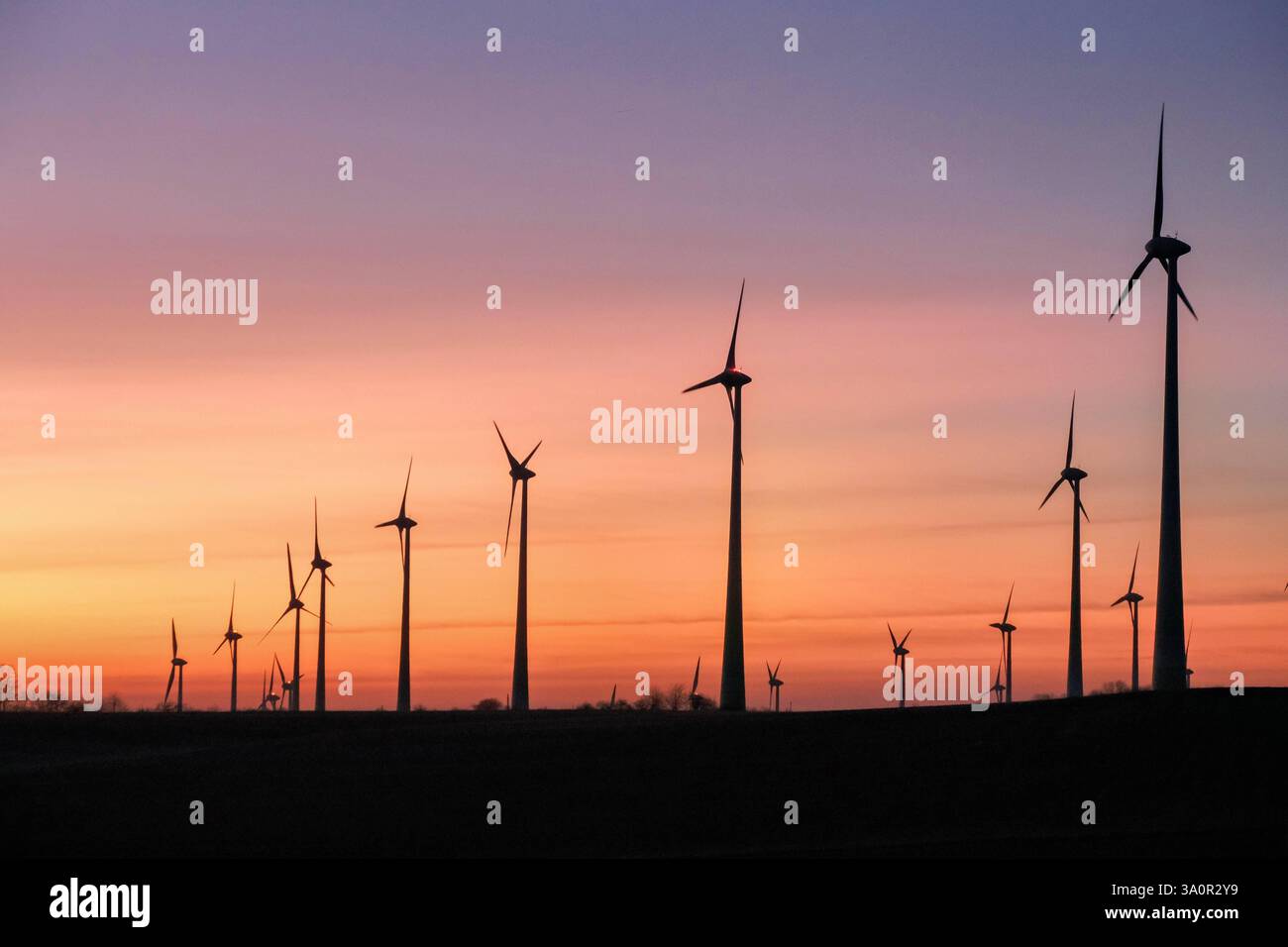 05.03.2025 In Deersheim im Landkreis Harz in Sachsen-Anhalt steht einer der größten Windparks ...