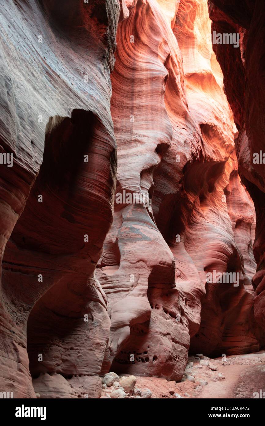 Explore the breathtaking curves and vibrant colors of Buckskin Gulch ...