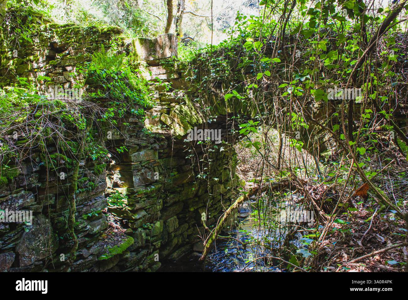 An old flagstone bridge over a small river on the hill in Portugal ...