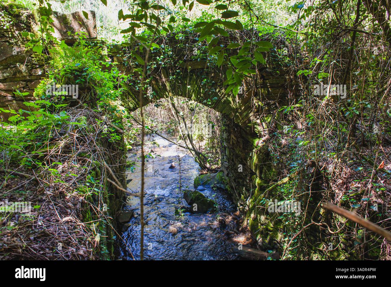 An old flagstone bridge over a small river on the hill in Portugal ...