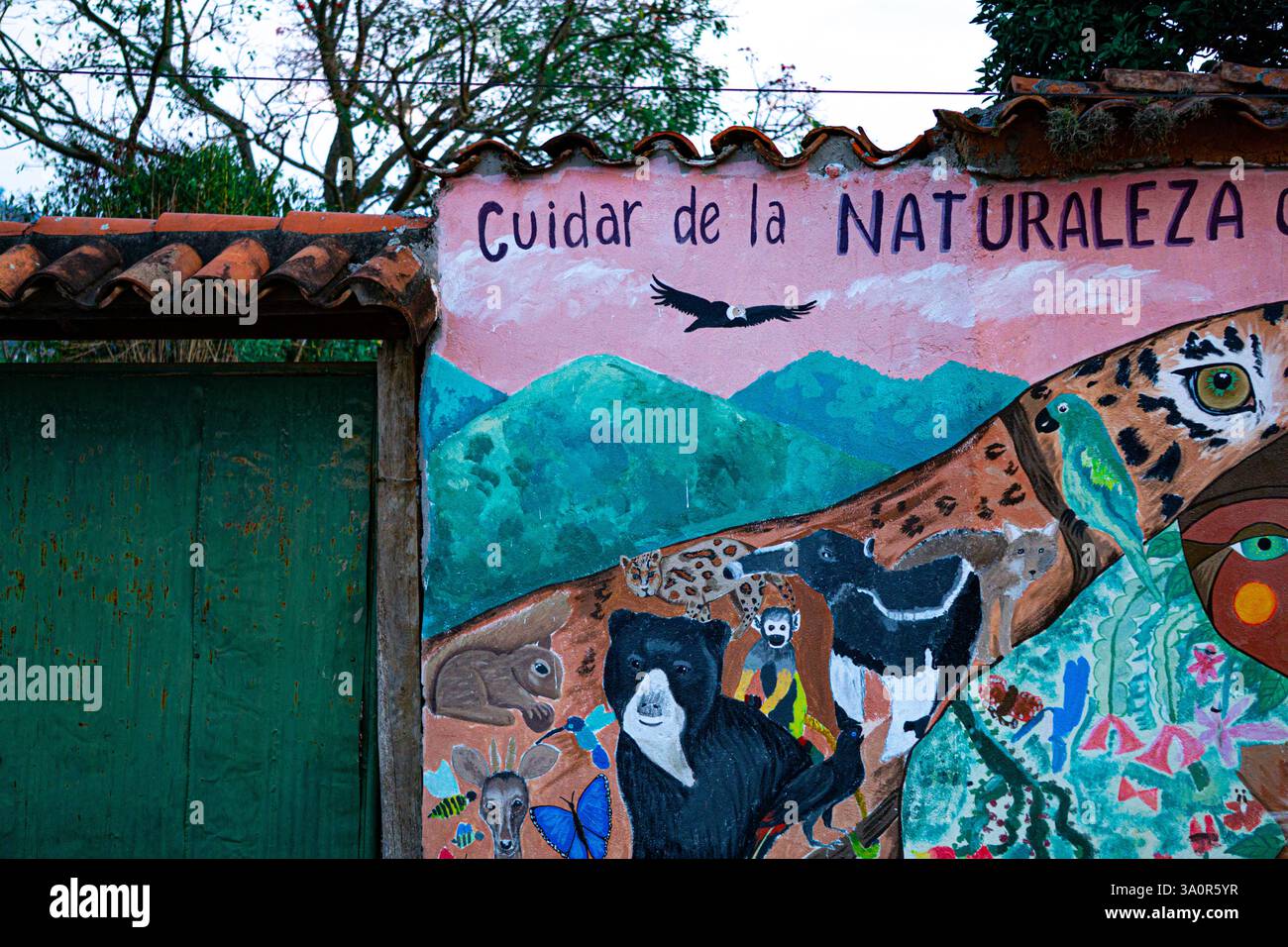 Street Art Mural Of Nature In Samaipata Bolivia Featuring Lush Wildlife ...