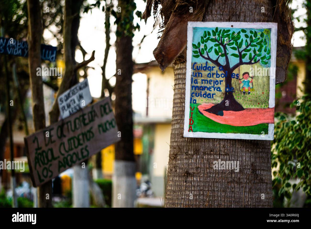 Nature Protection Posters Hanging On Trees In Samaipata Bolivia Plaza ...