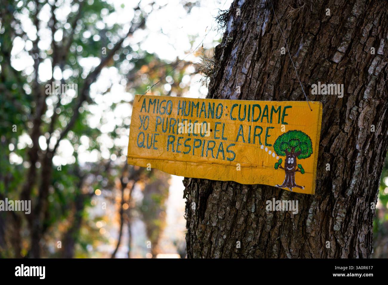 Public Awareness Campaign With Posters On Trees In The Plaza Of ...