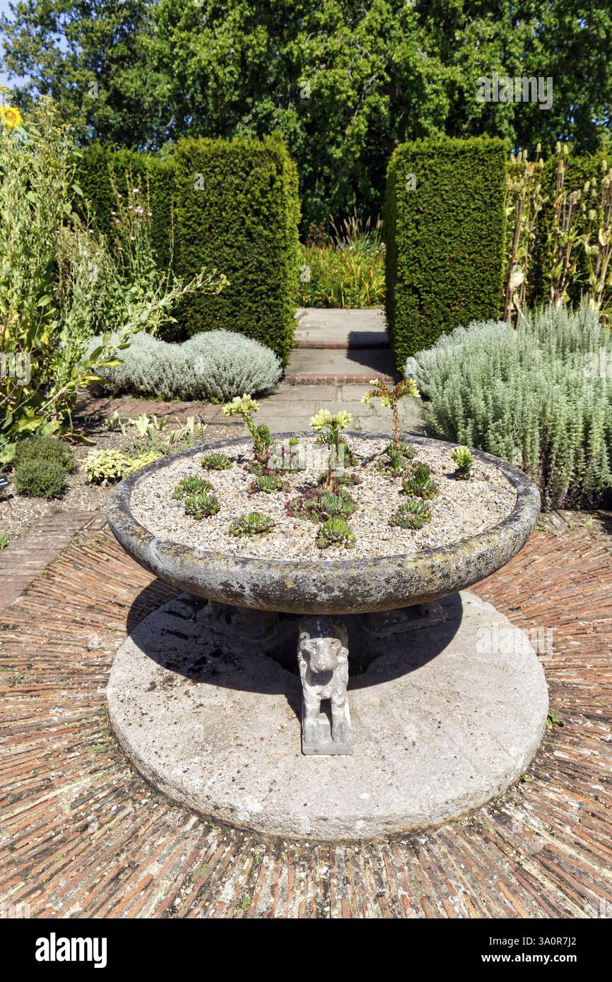 Rockery with Echeveria, rock garden, cottage garden, herb garden ...