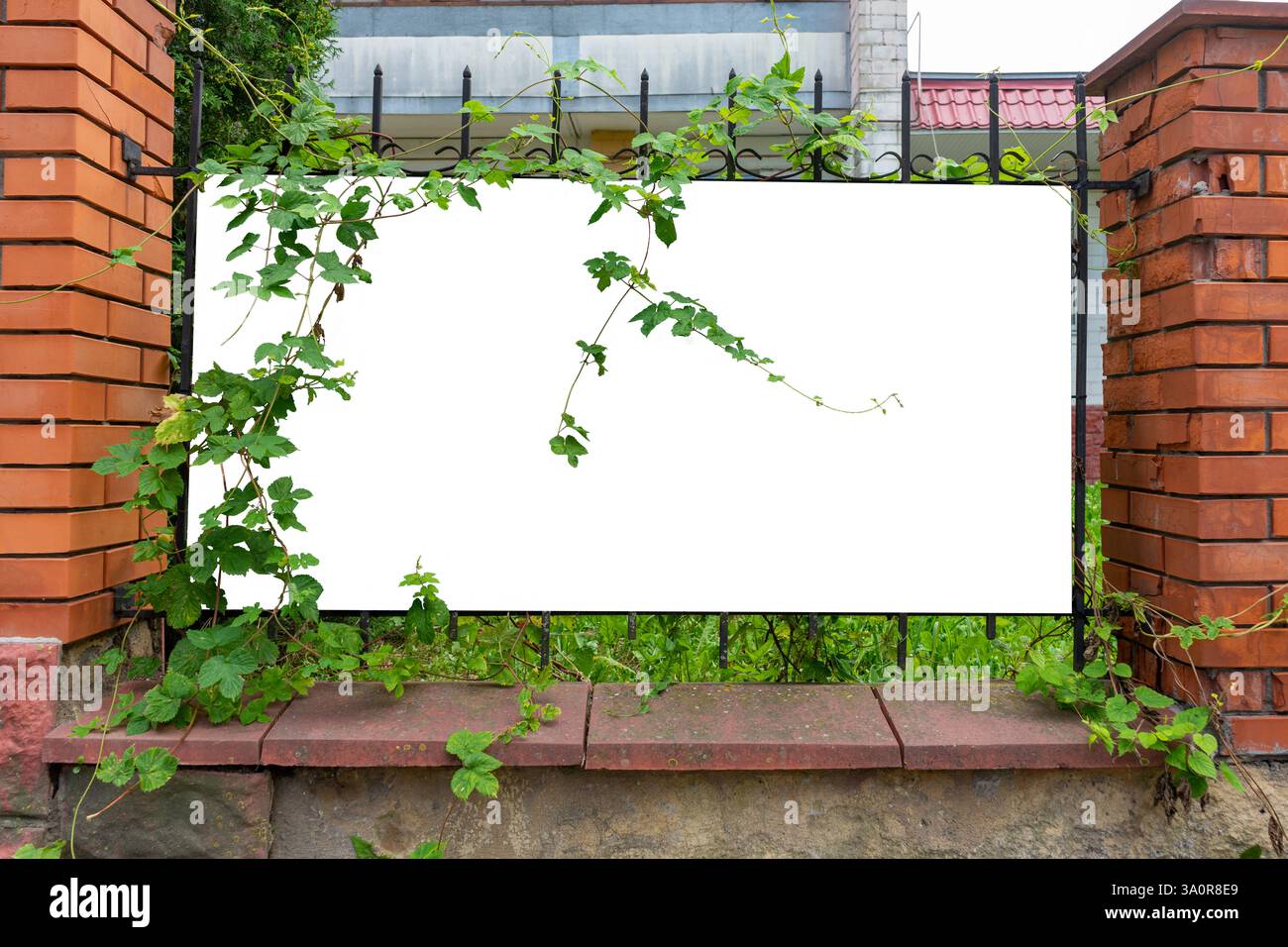 Vines and foliage envelop a blank sign frame, indicating a garden area ...