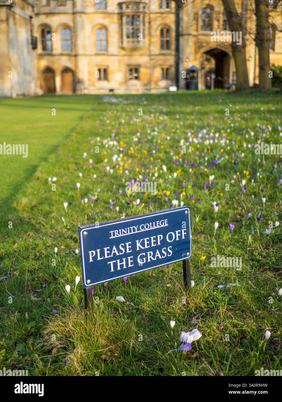 Please Keep of The Grass, Sign, Spring Flowers, Trinity College ...