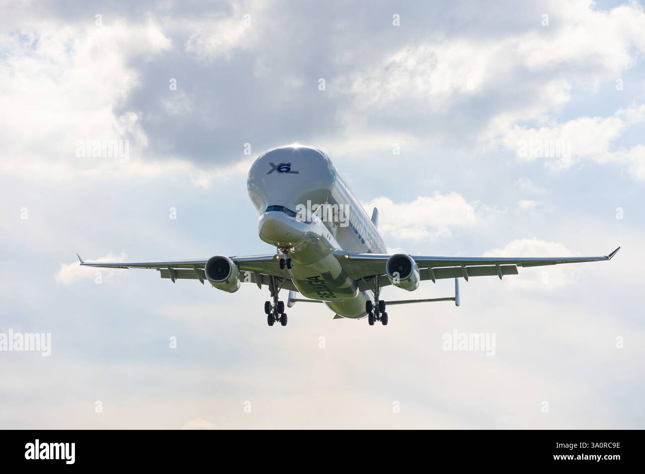 Xl beluga hi-res stock photography and images - Alamy