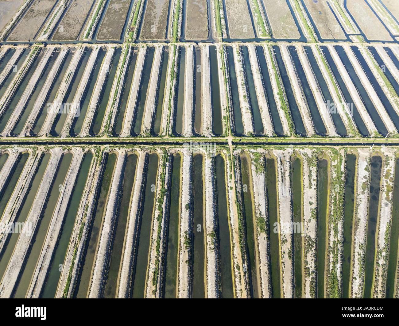 Overhead symmetry hi-res stock photography and images - Alamy