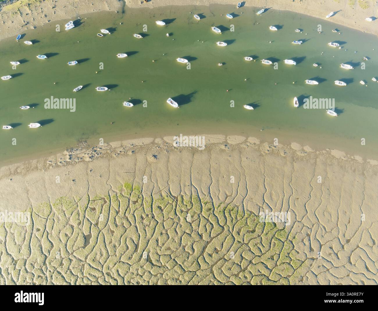 Aerial top down view creeping hi-res stock photography and images - Alamy