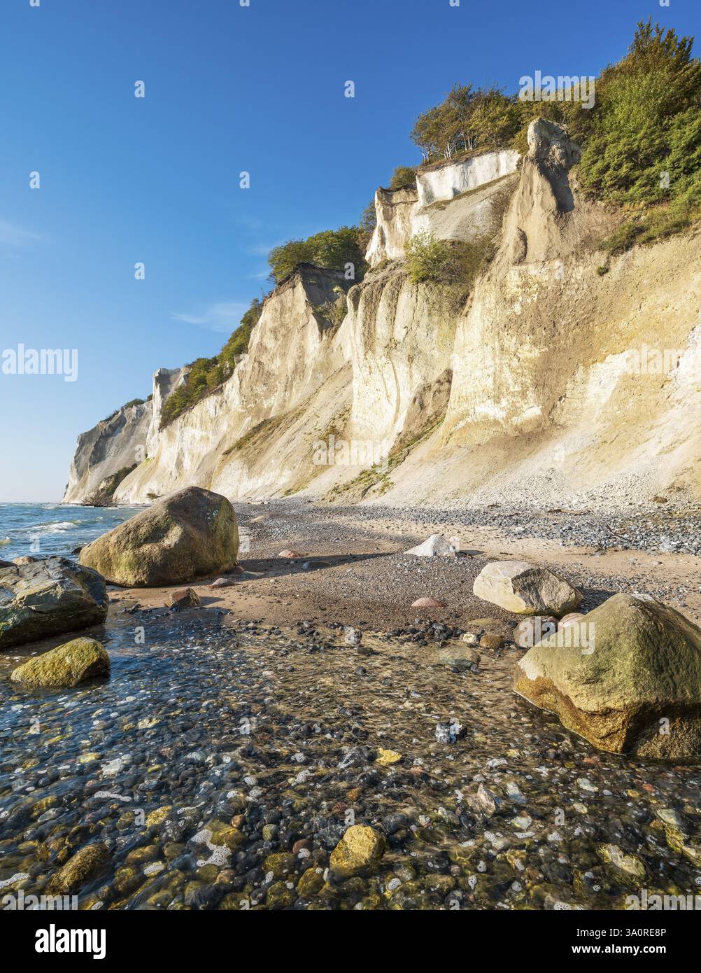 Beach with boulders at the chalk cliffs of Mons Klint on the Baltic Sea ...