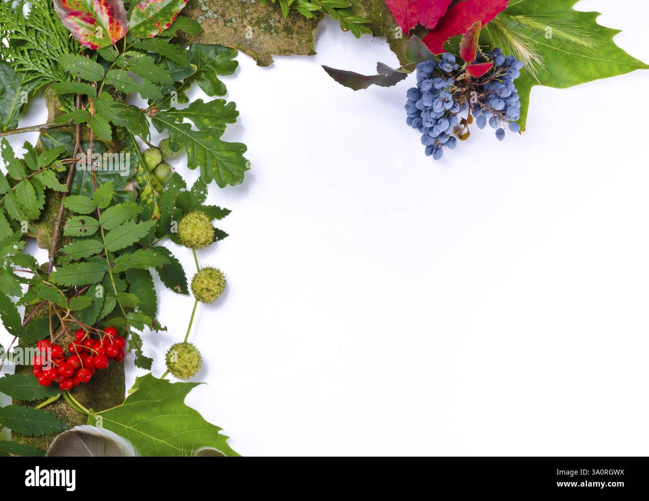 One of the four temperate seasons hi-res stock photography and images ...