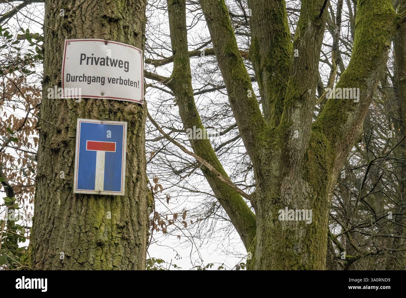 Dead end road sign and private property sign on a tree trunk ...