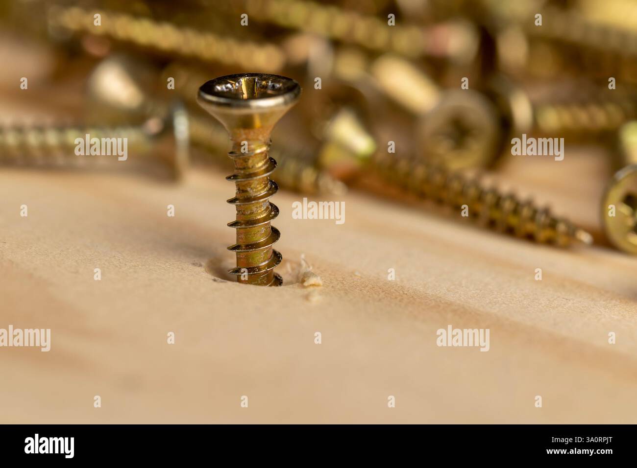 screws for work with wood, metal self tapping screws for fixing wooden ...