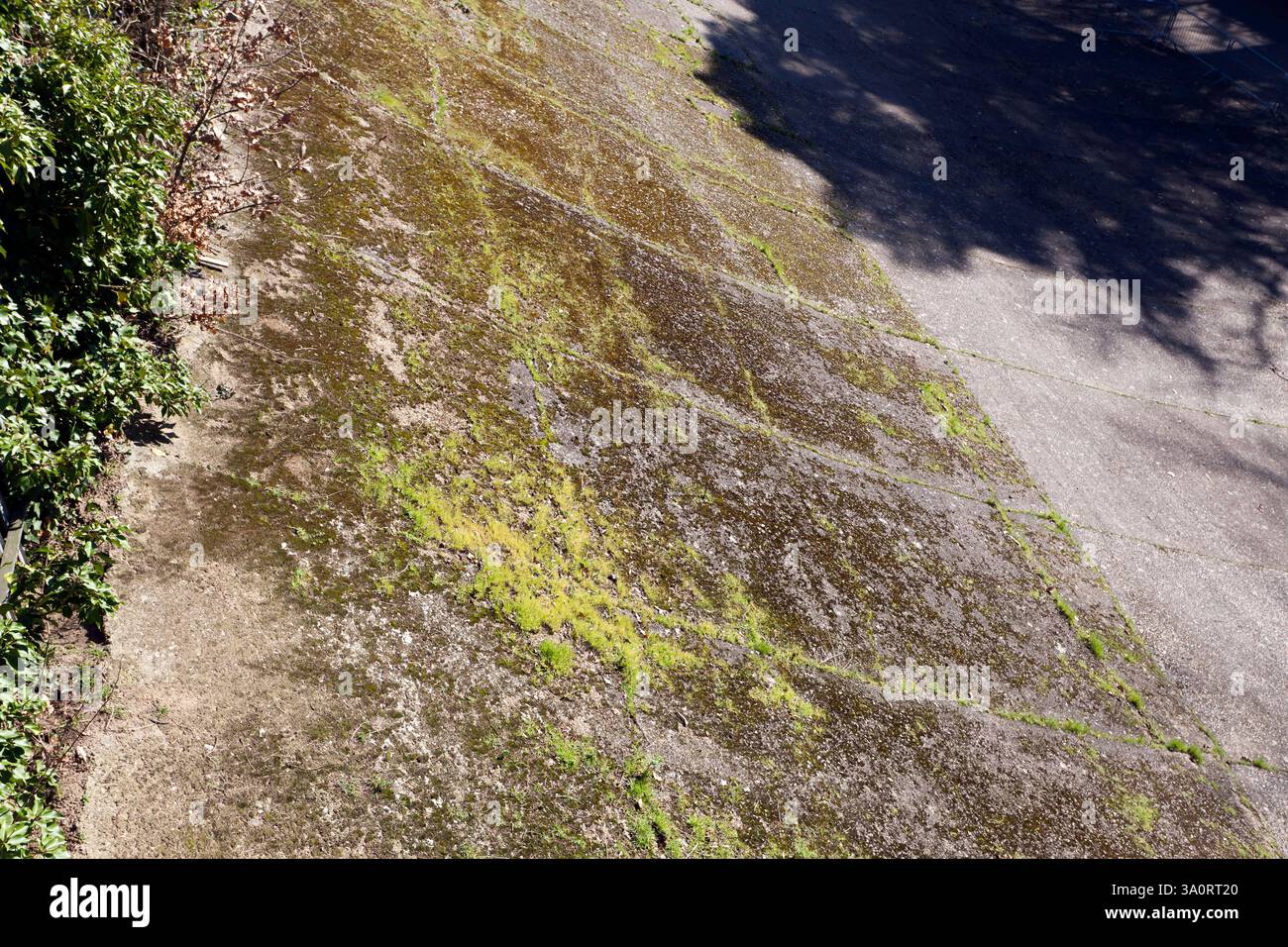 Close-up of a banked section of Brooklands concrete race track, it was ...
