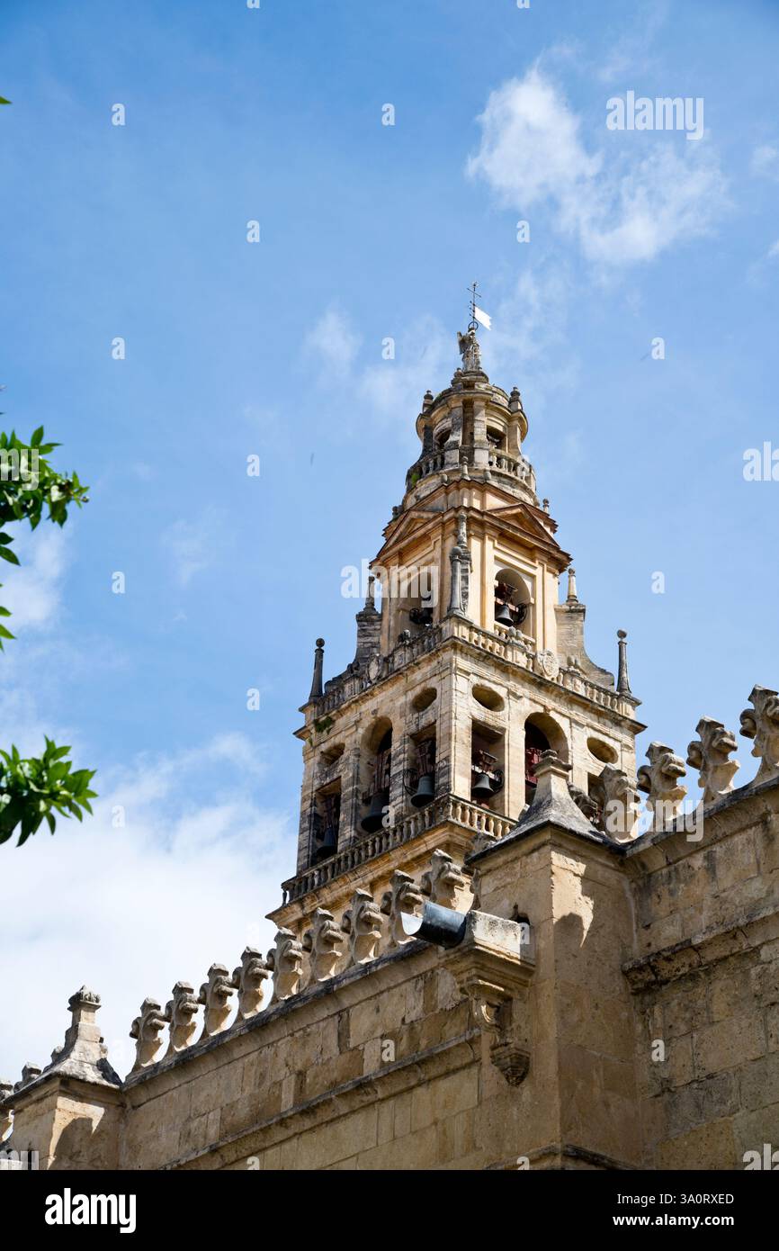 Cordoba,Great Mosque,Royal Palaces of Alcazar and Orage Tree Gardens ...