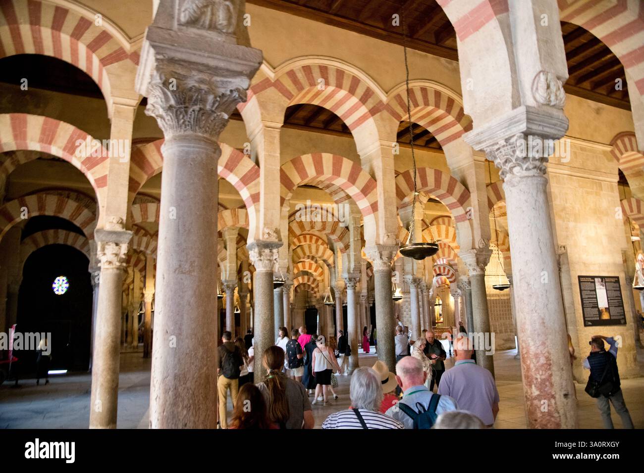 Cordoba,Great Mosque,Royal Palaces of Alcazar and Orage Tree Gardens ...