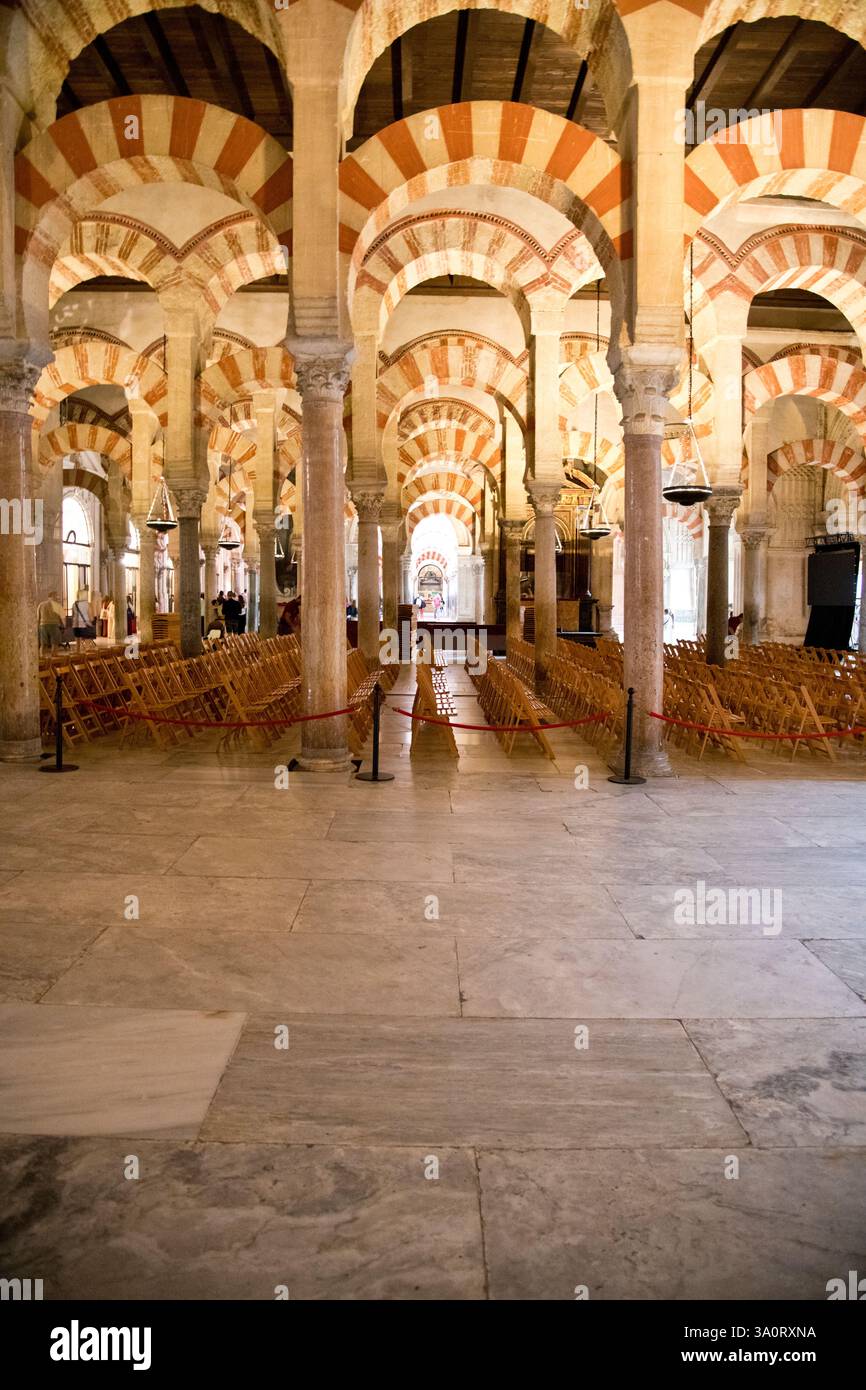 Cordoba,Great Mosque,Royal Palaces of Alcazar and Orage Tree Gardens ...