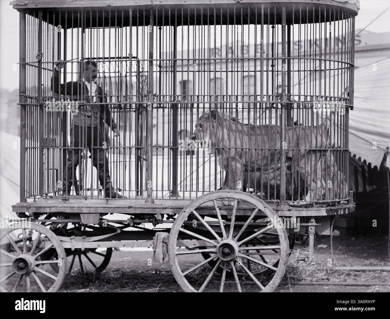 Fitzgerald Brothers Circus & Menagerie (circa 1894) by Burton Brothers ...