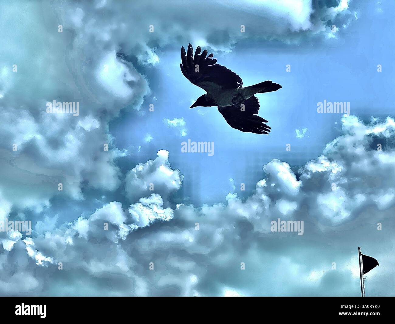 A lone bird soars gracefully against a bright blue sky filled with ...