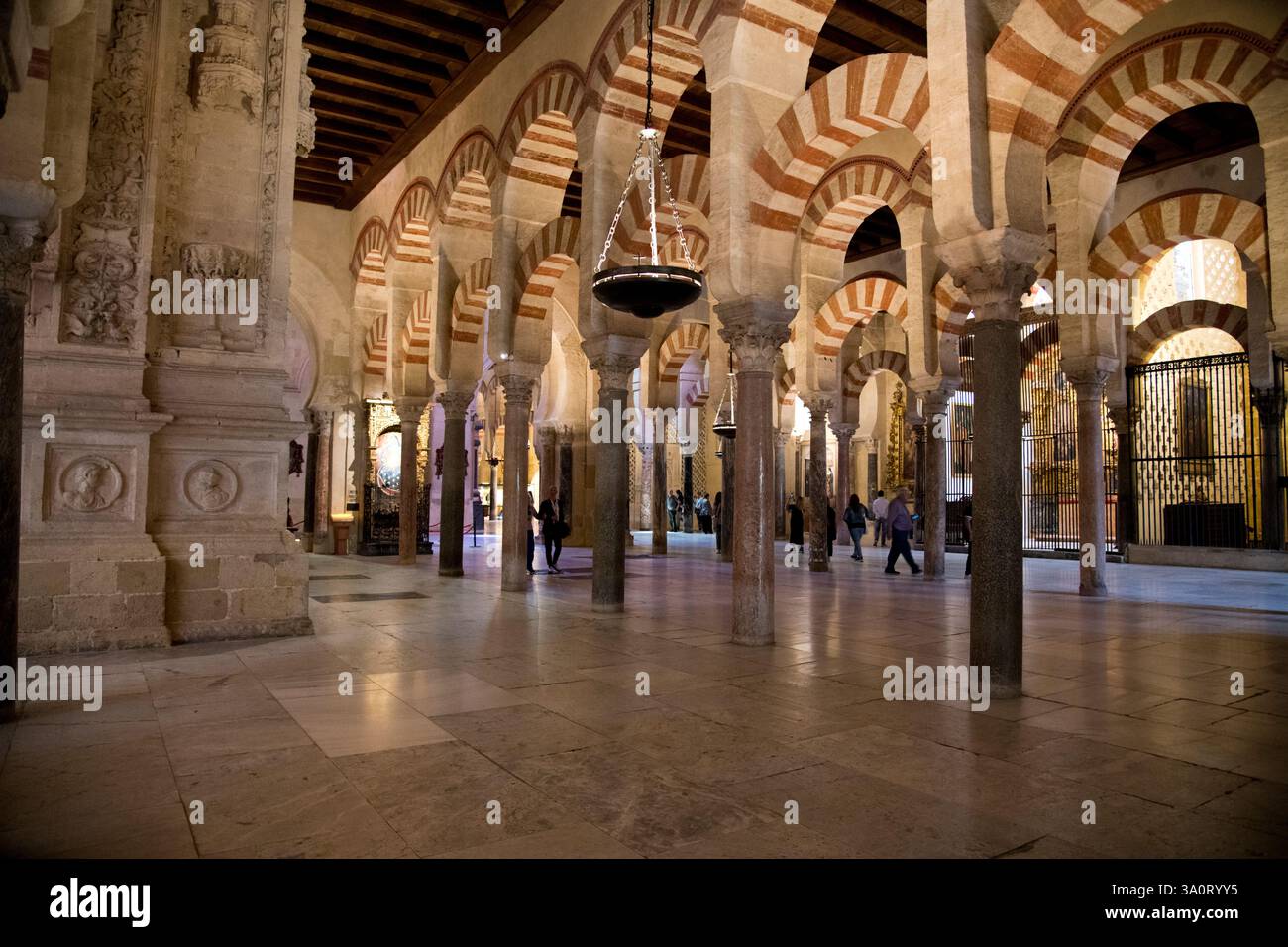 Cordoba,Great Mosque,Royal Palaces of Alcazar and Orage Tree Gardens ...