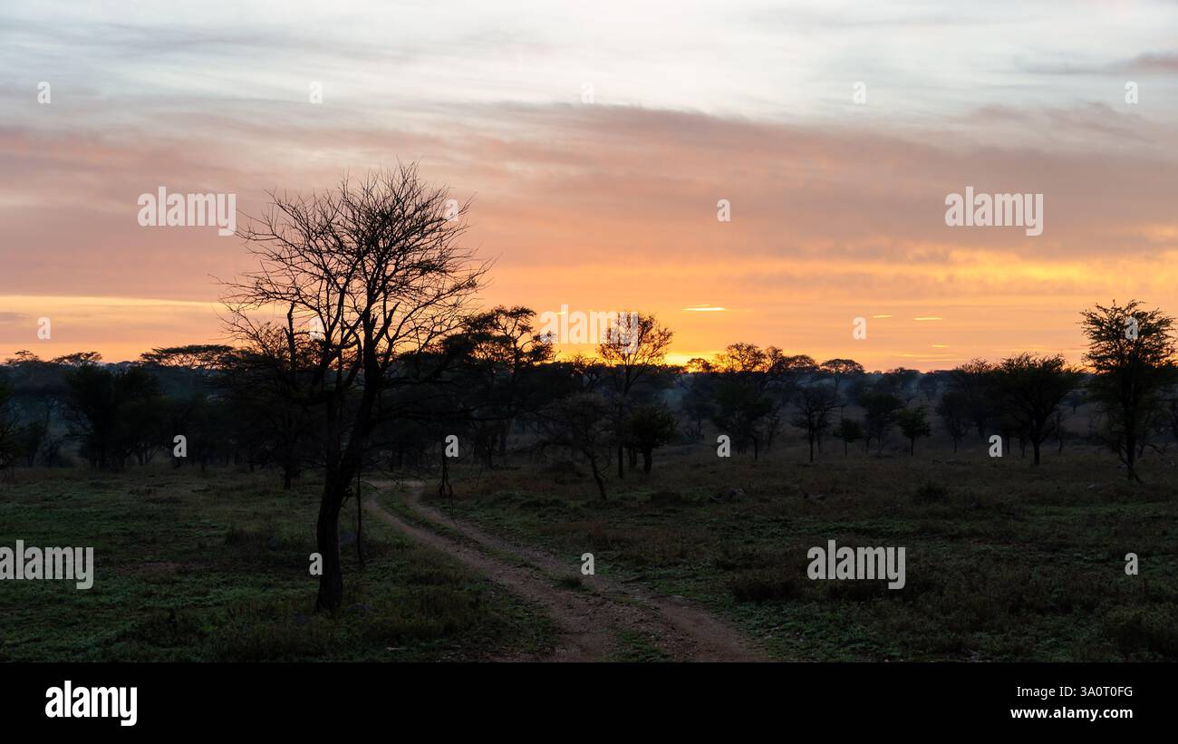 A Stunning Sunset Over a Beautiful African Landscape Featuring a ...