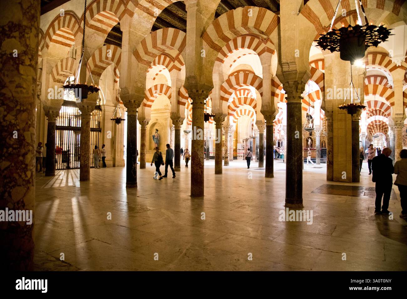 Cordoba,Great Mosque,Royal Palaces of Alcazar and Orage Tree Gardens ...