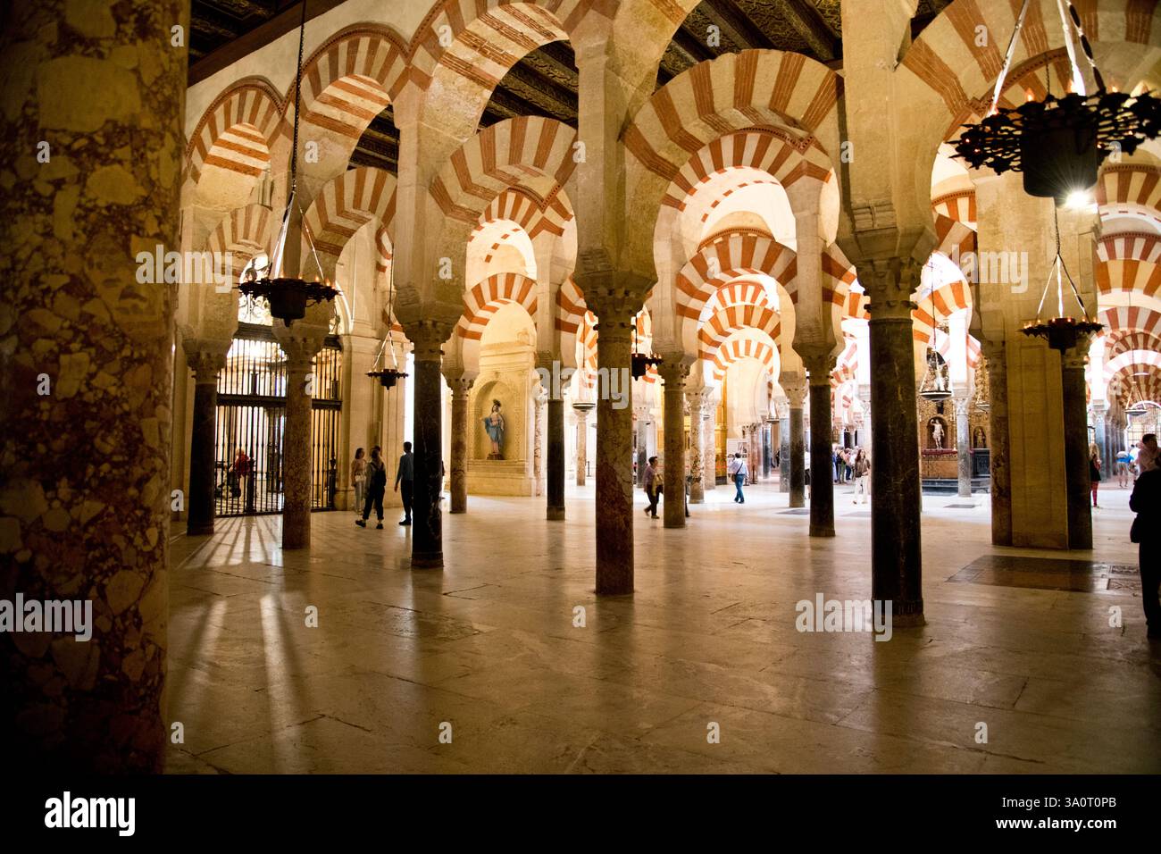 Cordoba,Great Mosque,Royal Palaces of Alcazar and Orage Tree Gardens ...